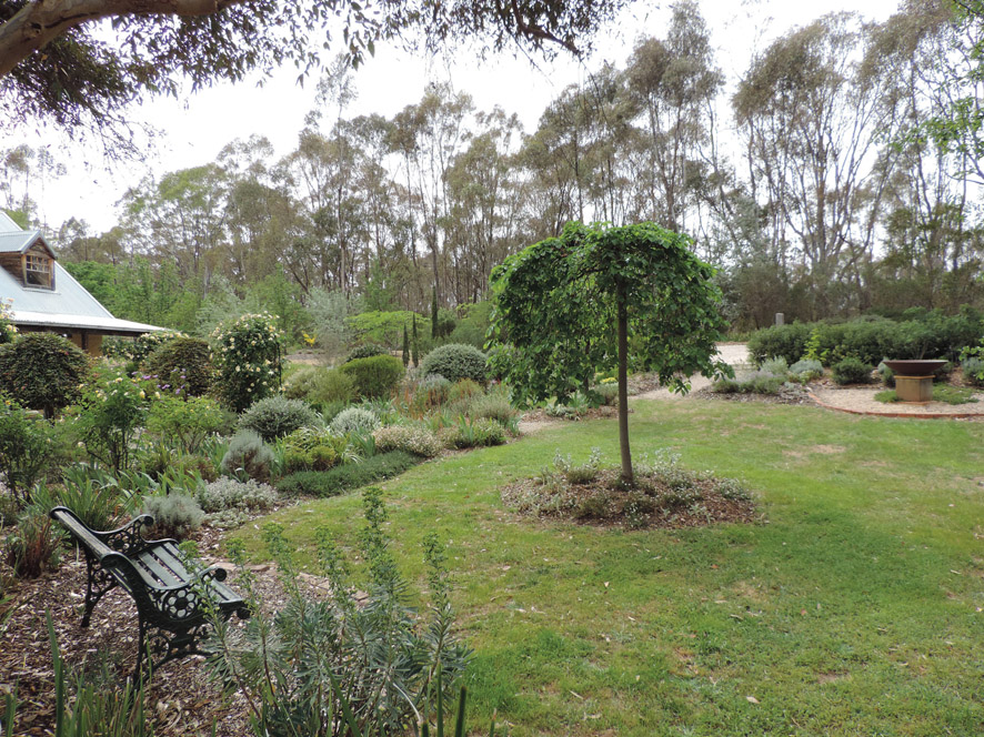 Mossbank - Castlemaine - Castlemaine and District Festival of Gardens
